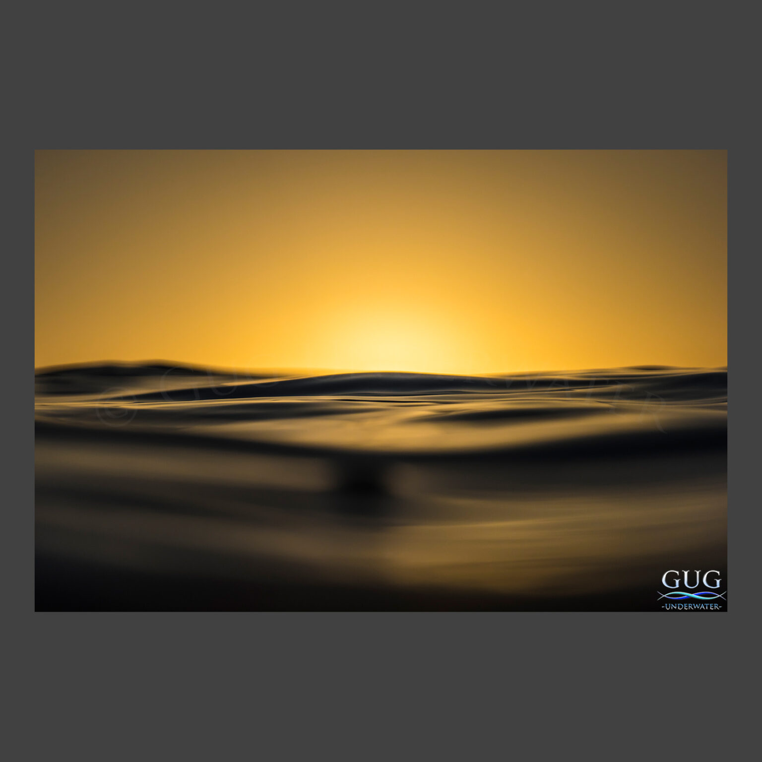 Beginnings Wall Art | Gug Underwater